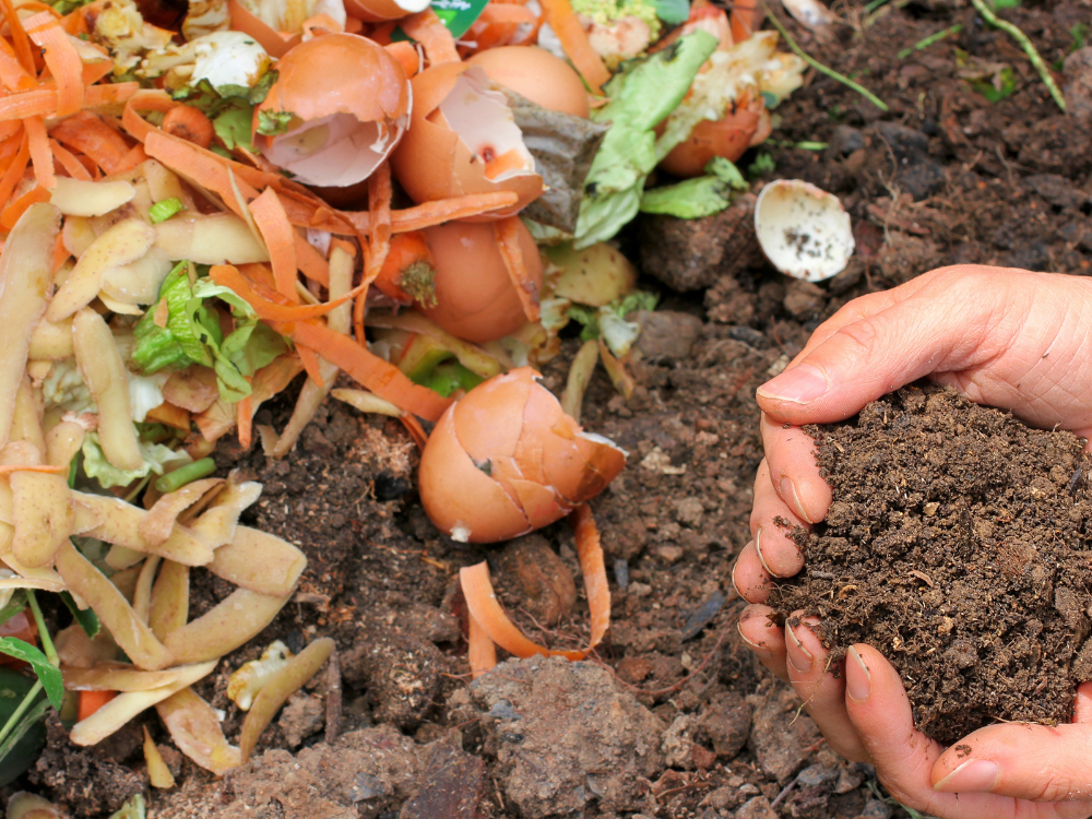 Composting Services in Johannesburg South Africa - Composting Solution ...